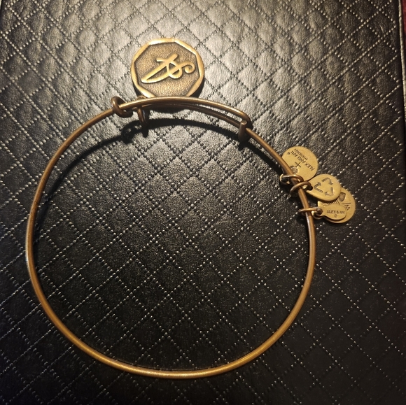 Alex and Ani | Jewelry | Alex And Ani Bracelet | Poshmark